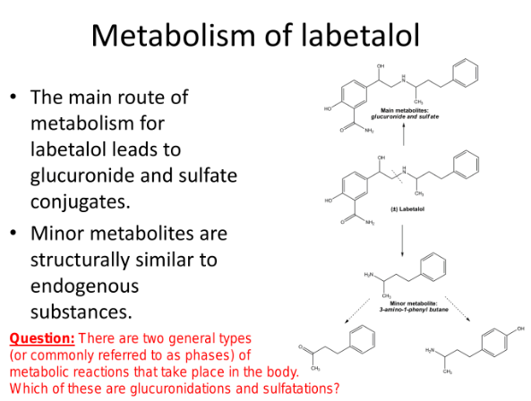 Solved Metabolism of labetalol - The main route of | Chegg.com