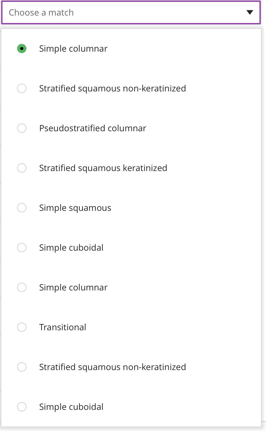 Solved Question 1 215 Match the structure with the correct | Chegg.com
