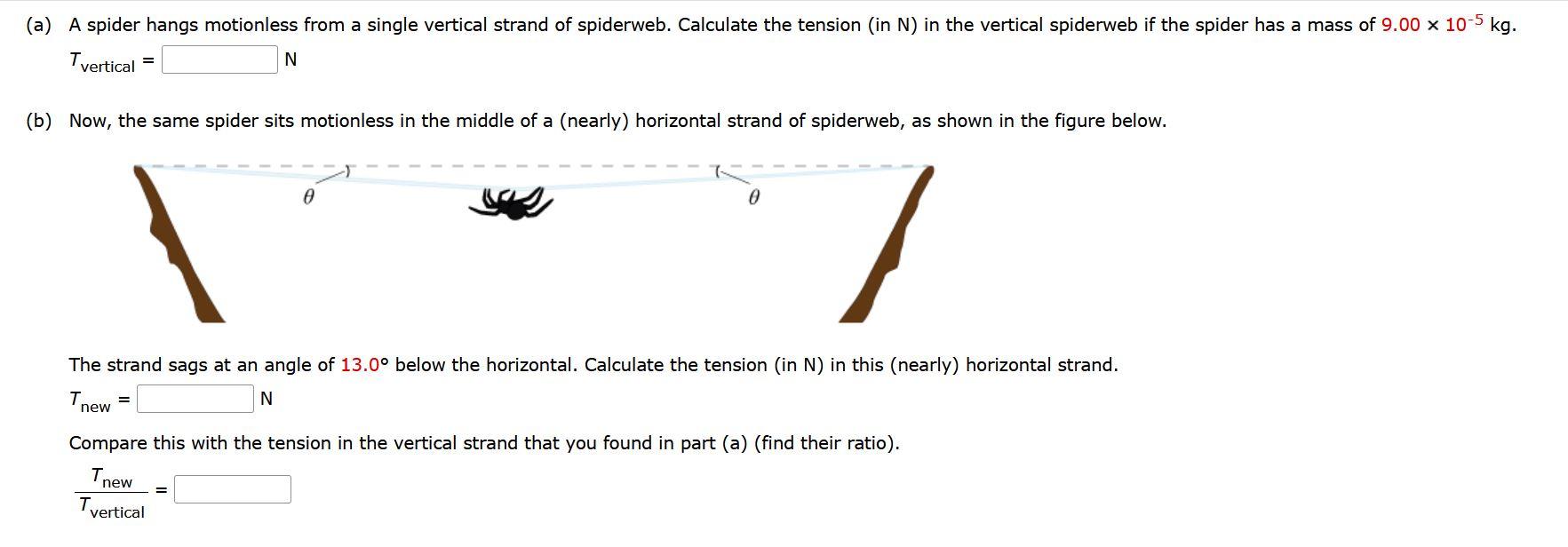Solved (a) A spider hangs motionless from a single vertical | Chegg.com