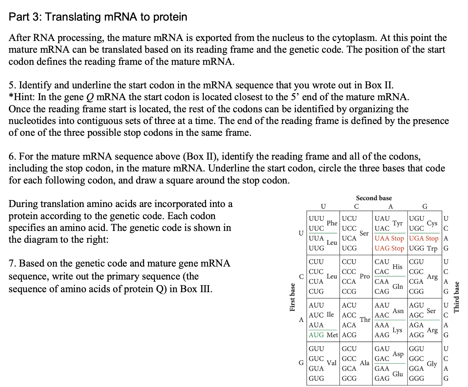 Part 3: Translating mRNA to protein After RNA | Chegg.com