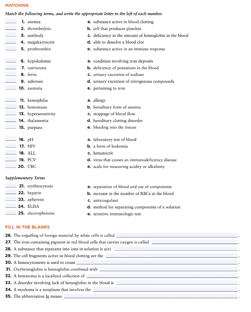 Solved MATCHING Match the following terms, and write the | Chegg.com