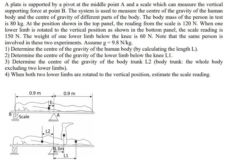 Solved A plate is supported by a pivot at the middle point A | Chegg.com