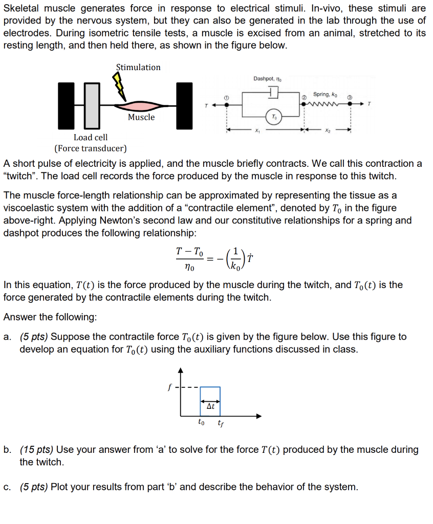 Solved Skeletal muscle generates force in response to | Chegg.com