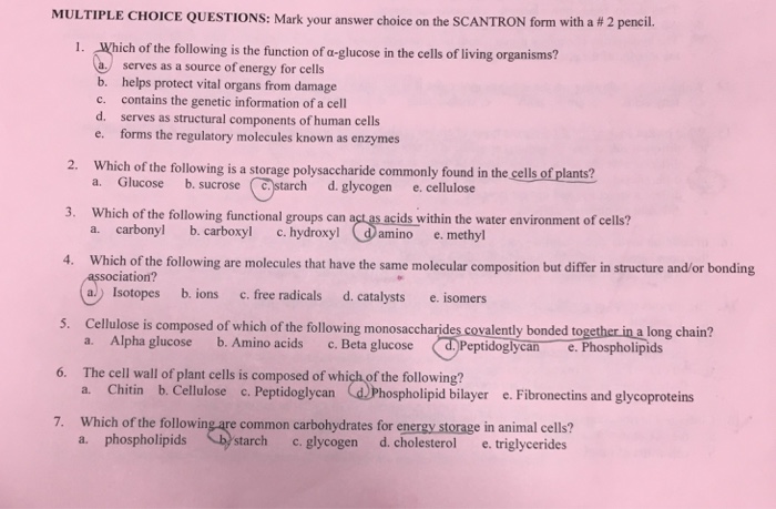 Solved MULTIPLE CHOICE QUESTIONS: Mark your answer choice on | Chegg.com