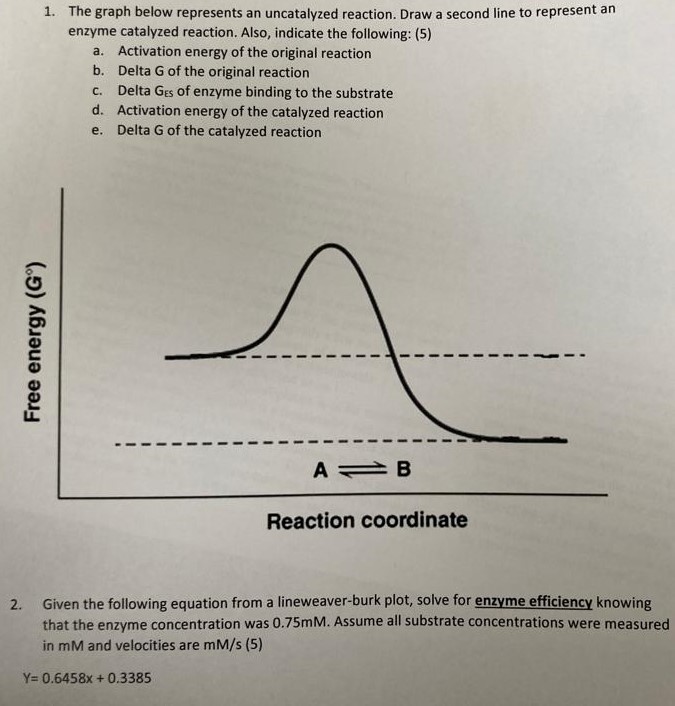 Solved 1)The graph below represents an uncatalyzed reaction. | Chegg.com