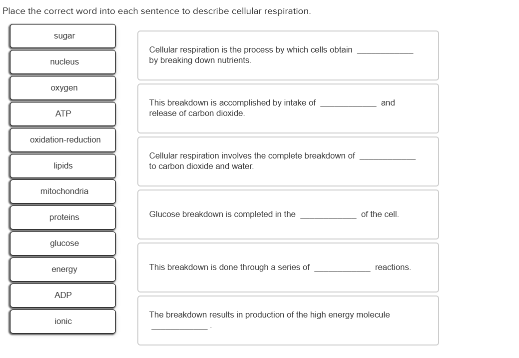 Solved Place the correct word into each sentence to describe | Chegg.com