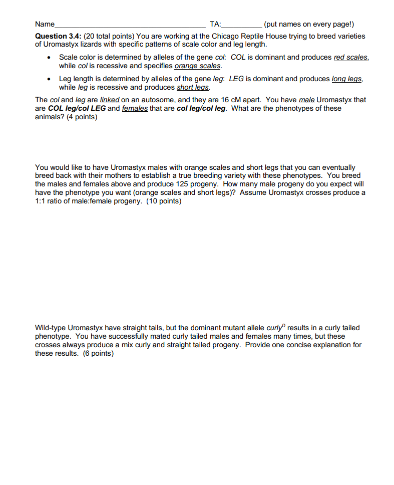 Solved Name TA: (put names on every page!) Question 3.4: (20 | Chegg.com