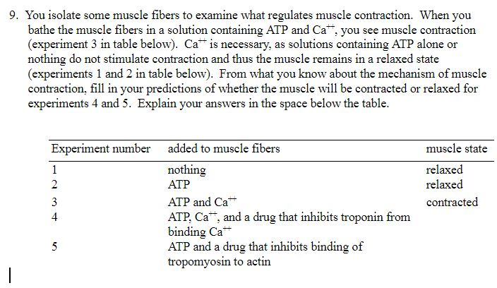 Solved 9. You isolate some muscle fibers to examine what | Chegg.com