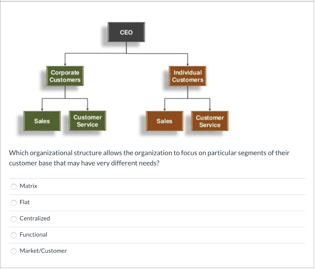 Solved CEO Corporate Customers Individual Customers Sales | Chegg.com