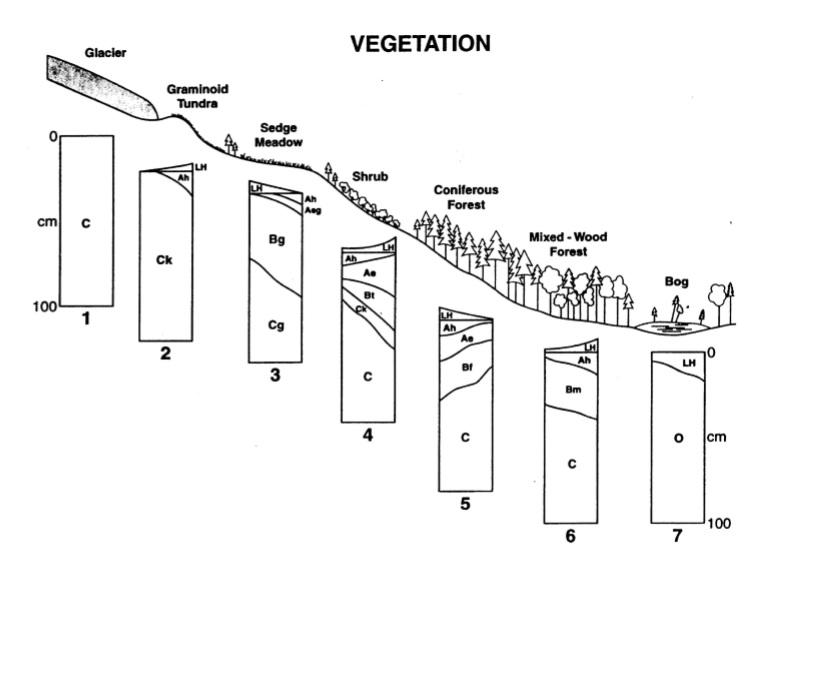 Solved Exercise The Canadian System of Soil Classification | Chegg.com
