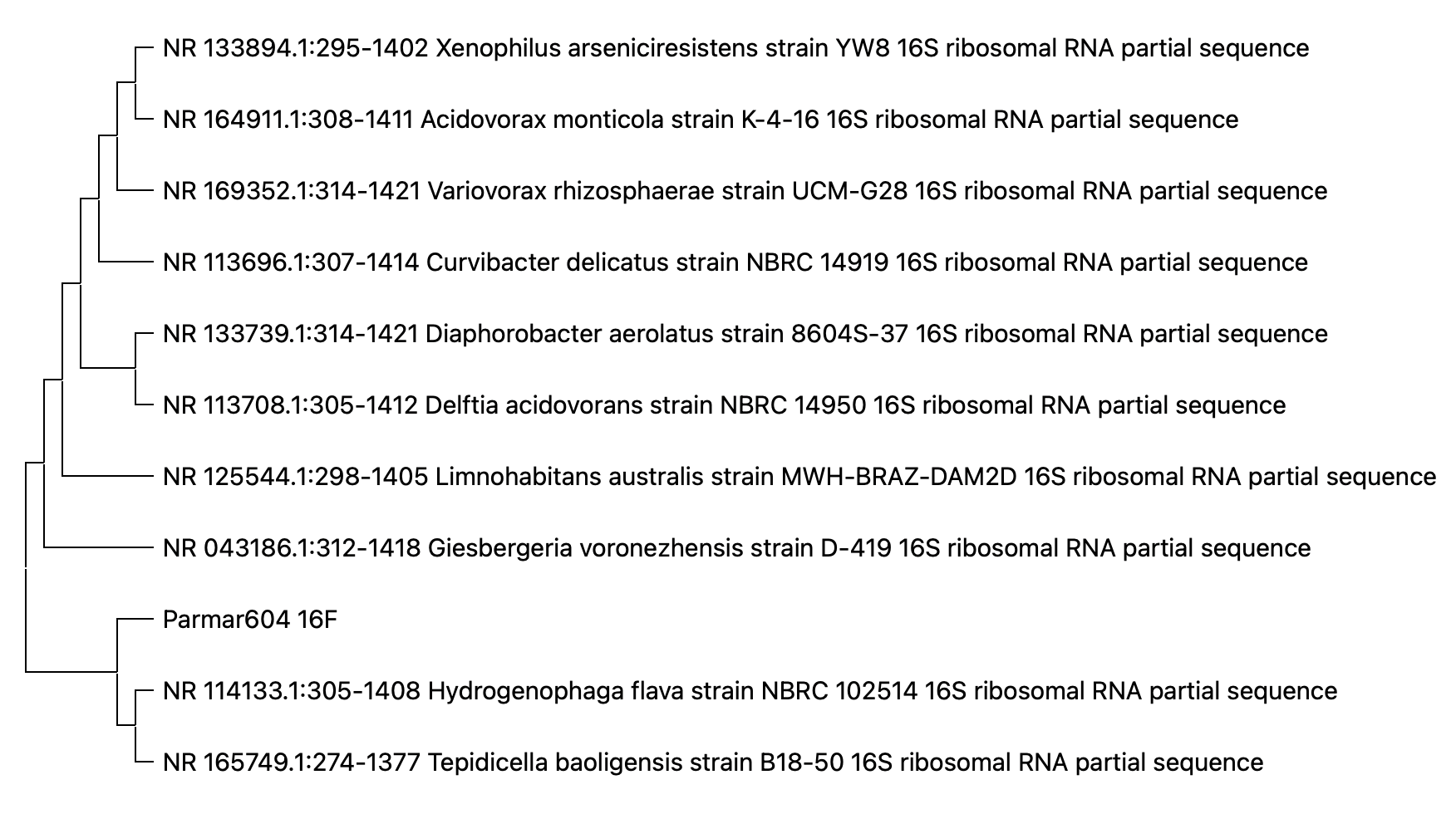 I need help analyzing this phylo tree. I got my | Chegg.com