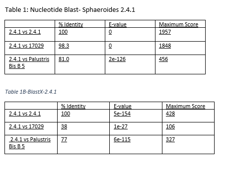 I need help in interpreting the Percent Identity, | Chegg.com