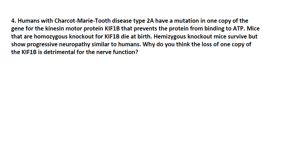 Solved 4. Humans with Charcot-Marie-Tooth disease type 2A | Chegg.com