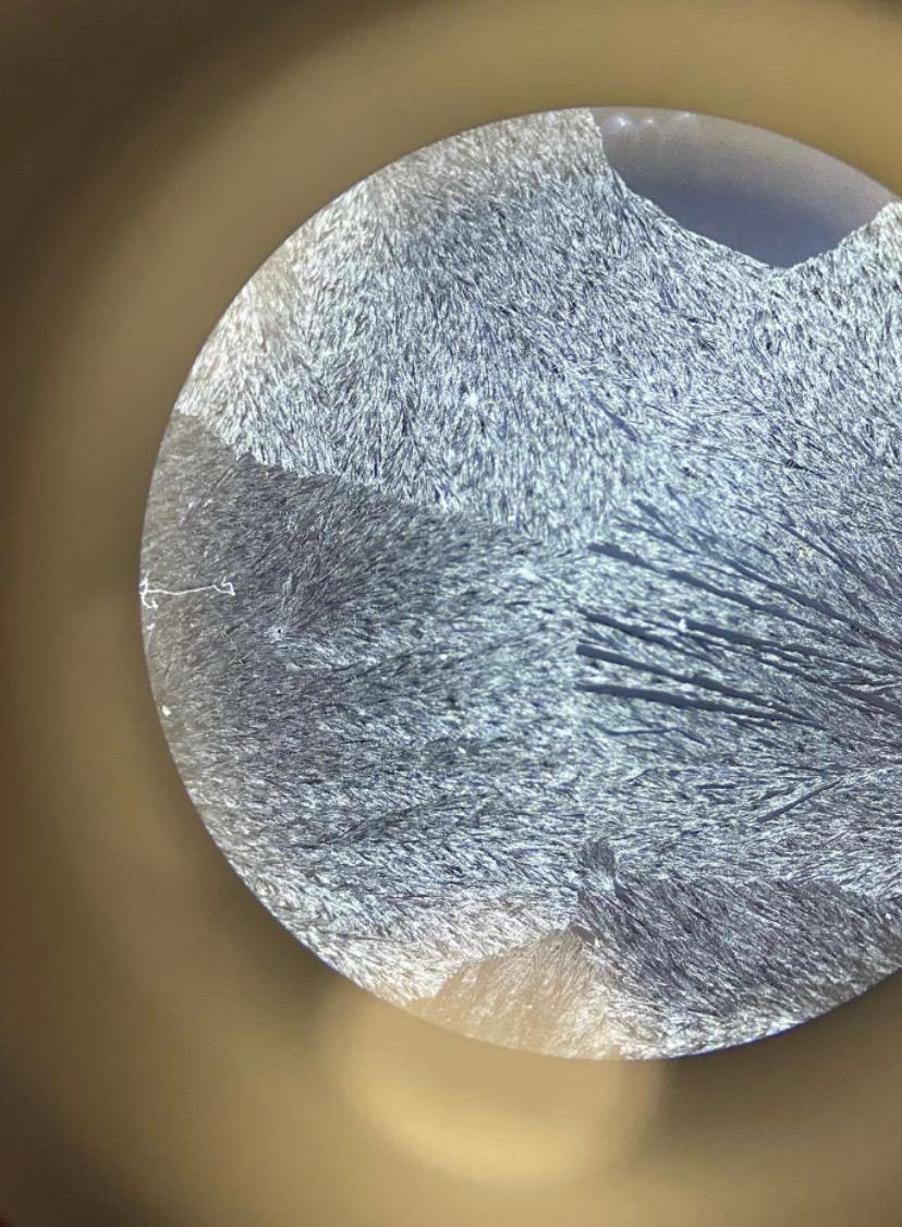 Solved Identify the sample provided with the mystery | Chegg.com