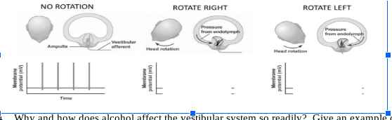 Solved The figure below represents three states of head | Chegg.com