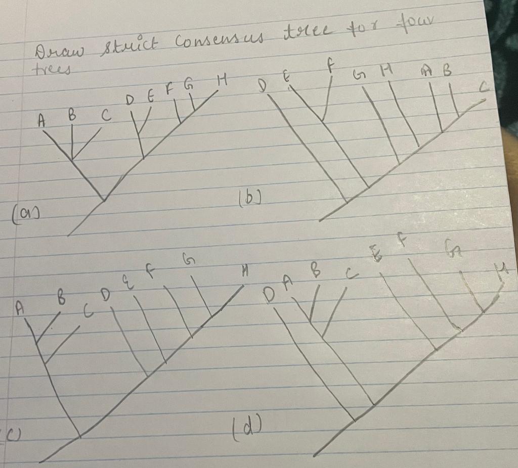 Solved Oraw strict consensus tree for fow | Chegg.com