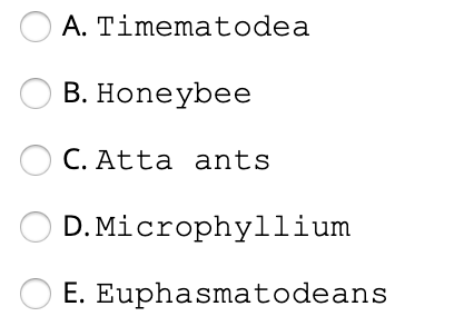 Solved Below is a rooted evolutionary tree of a clade of | Chegg.com