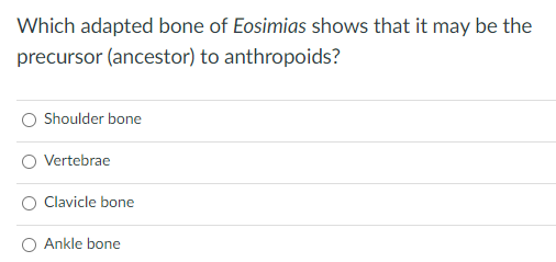 Solved The discovery of the fossil Archicebus indicates that | Chegg.com