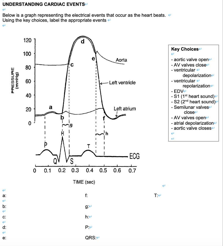 Solved UNDERSTANDING CARDIAC EVENTS Below is a graph | Chegg.com Solved UNDERSTANDING CARDIAC EVENTS Below is a graph | Chegg.com