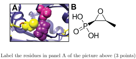 Solved a) The active site of a cysteine protease has a | Chegg.com