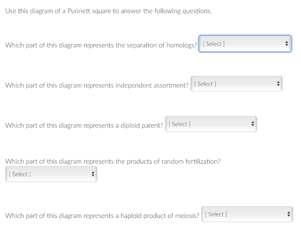 Solved Аа х Аа A a A АА Аа a Аа aa (1) (Аа) х Аа (2) A a (3) | Chegg.com