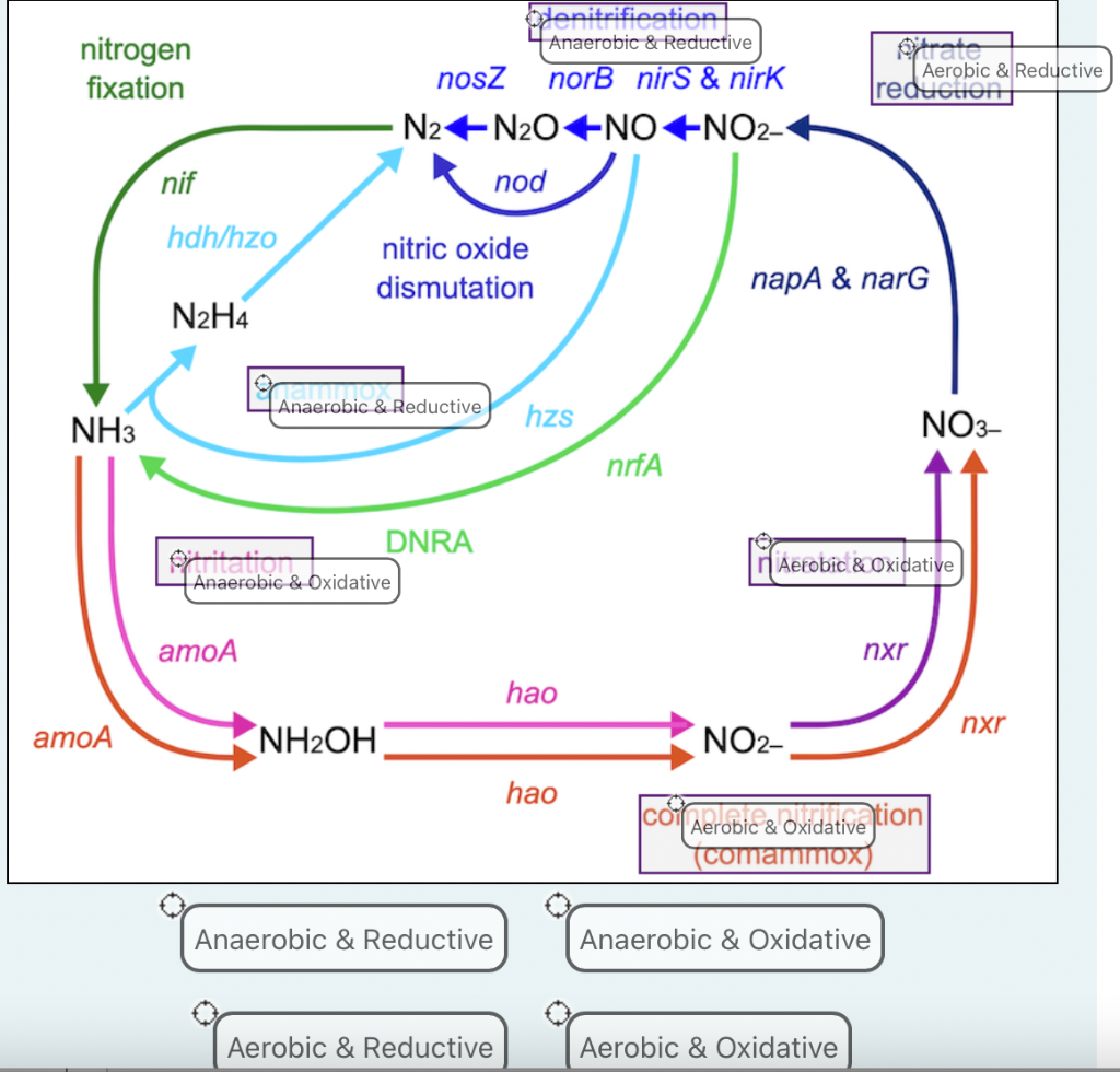 Solved Drag and drop the appropriate markers to describe the | Chegg.com