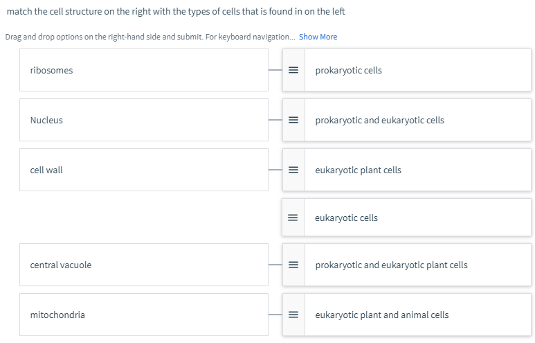 Solved match the cell structure on the right with the types | Chegg.com