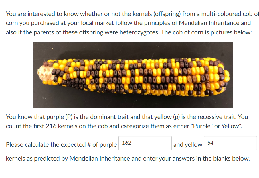 Solved Calculate the Chi-square value (X2 calculated) for | Chegg.com