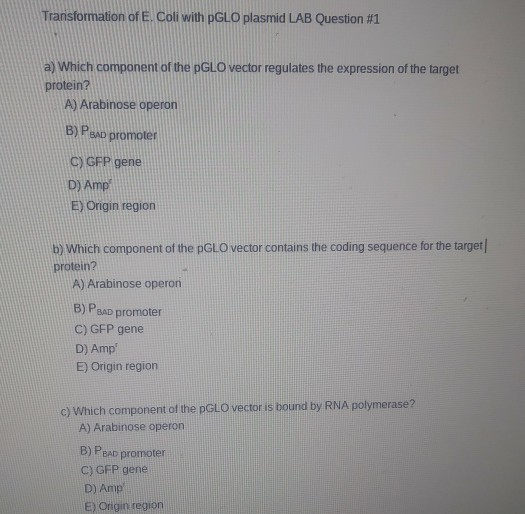 Solved Transformation of E. Coli with pGLO plasmid LAB | Chegg.com