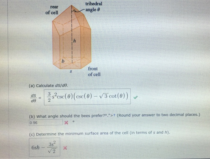 Solved In a beehive, each cell is a regular hexagonal prism, | Chegg.com