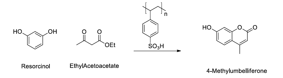 Solved This reaction will be completed without a solvent, | Chegg.com