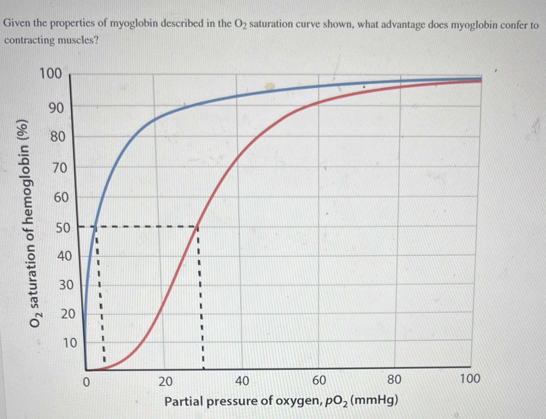Solved Given the properties of myoglobin described in the O2 | Chegg.com