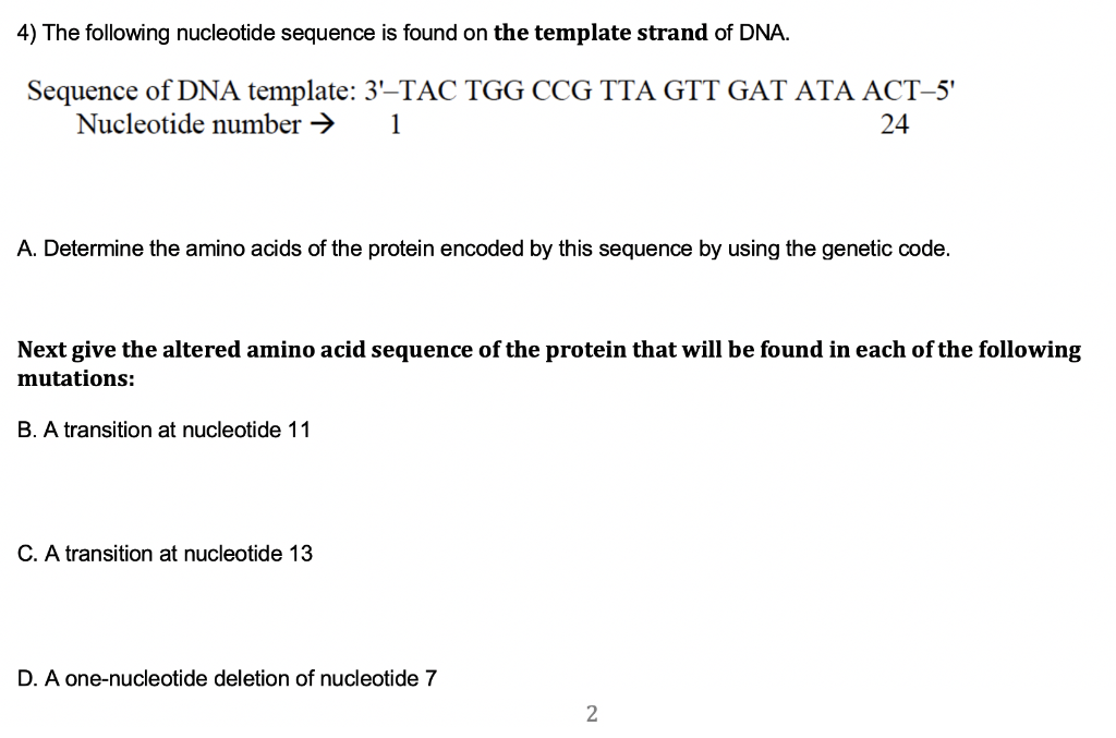 Solved 4) The following nucleotide sequence is found on the | Chegg.com