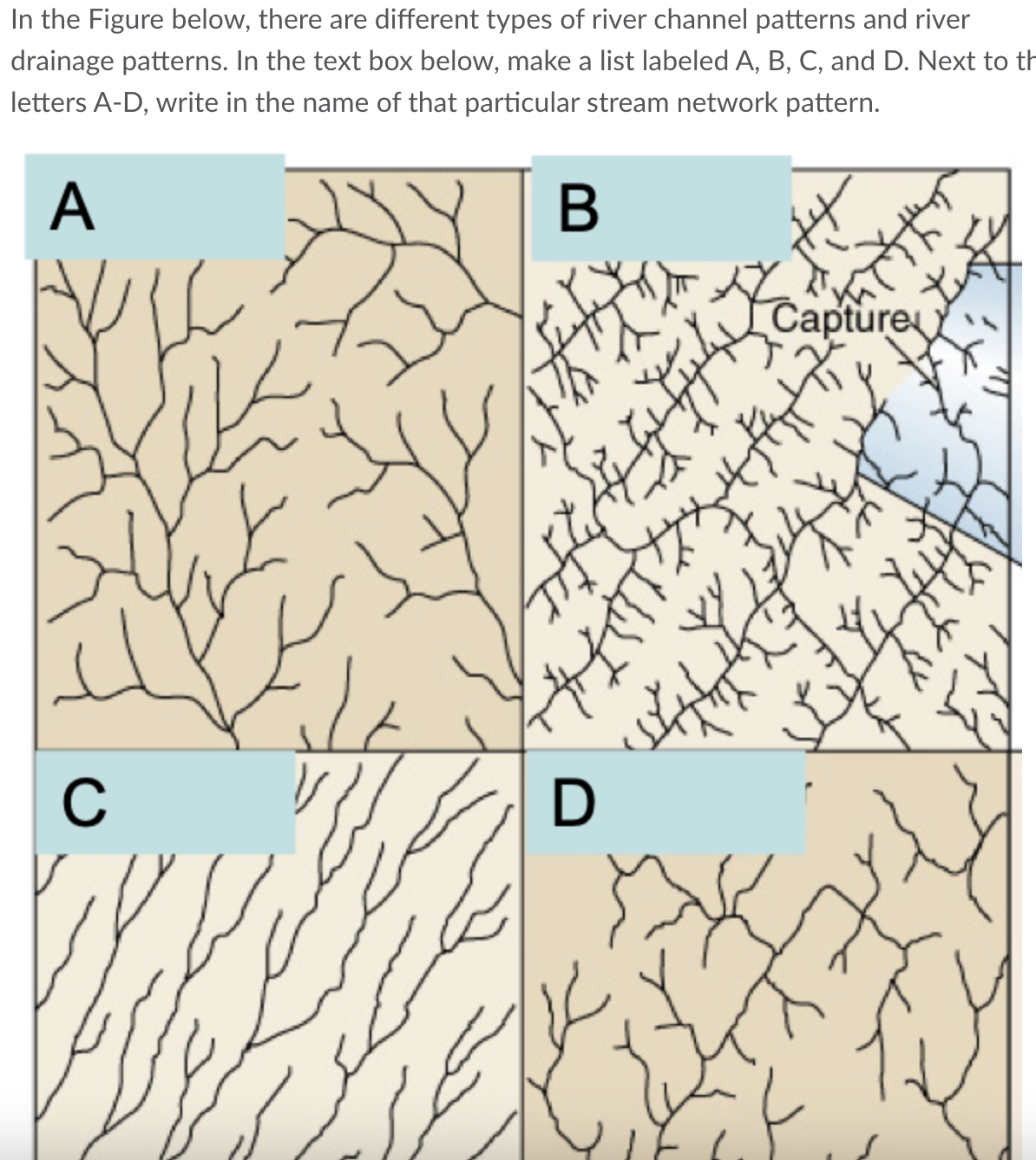 Solved In the Figure below, there are different types of | Chegg.com