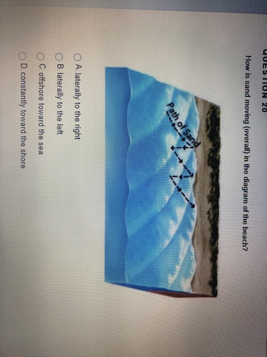 Solved QUESTION 20 How is sand moving (overall) in the | Chegg.com