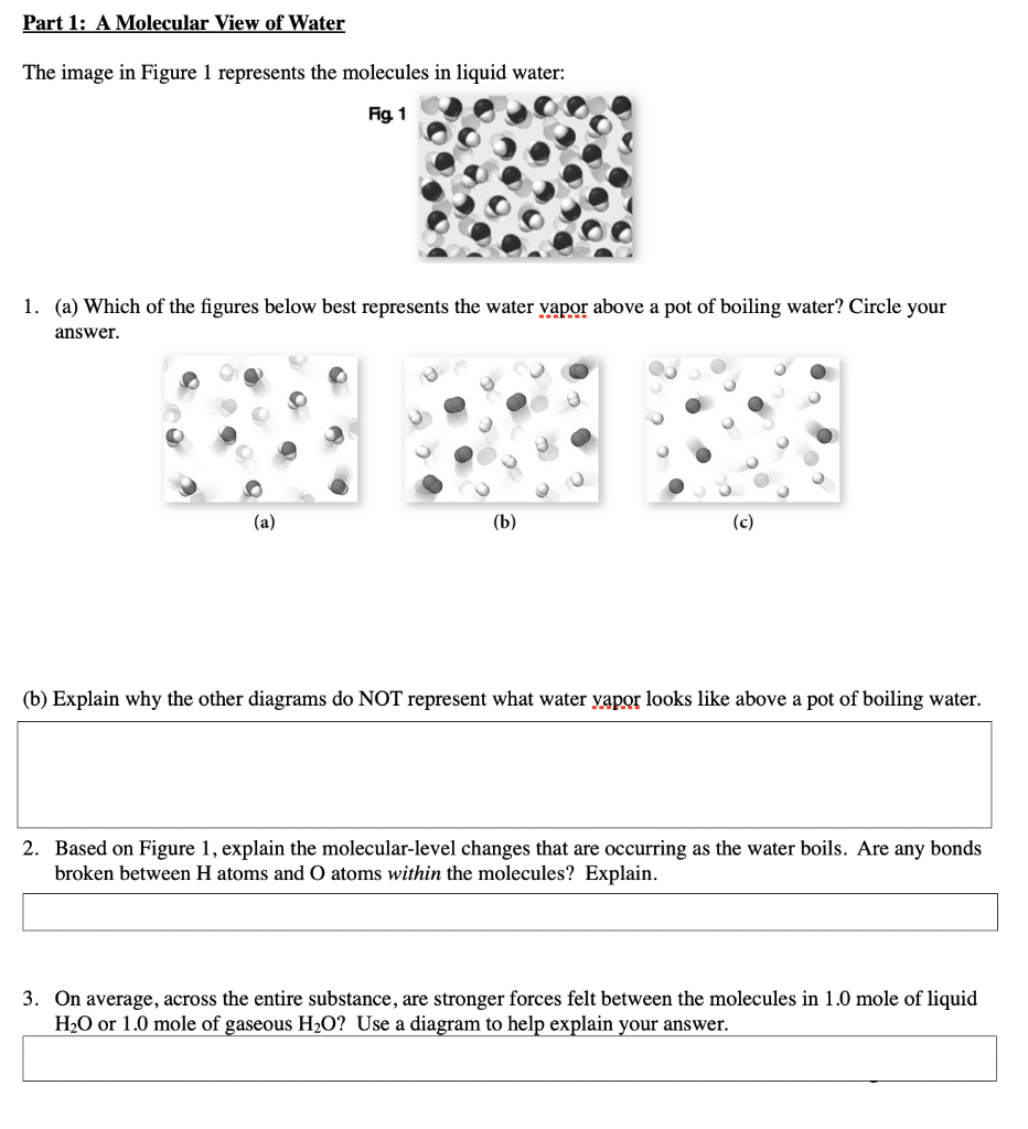 Solved Part 1: A Molecular View of Water The image in Figure | Chegg.com