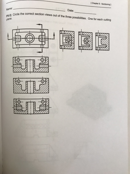 Solved I Chapter 5: Sectioning1 Name: Date Crde the correct | Chegg.com