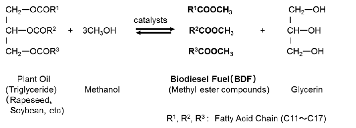 Solved The reaction mechanism of biodiesel, identify the | Chegg.com