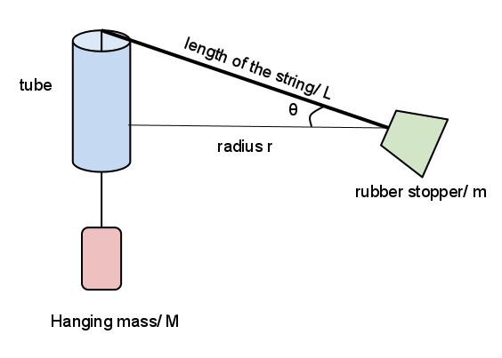 Solved A rubber stopper will be tied to a string and | Chegg.com