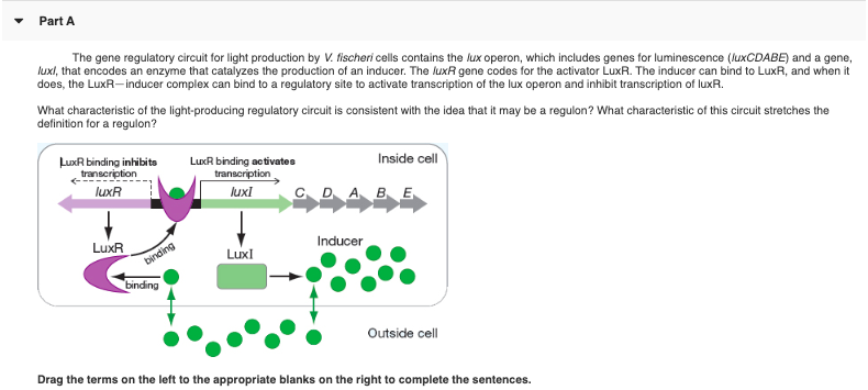 Solved Part D - Which domain of the insulin precursor | Chegg.com