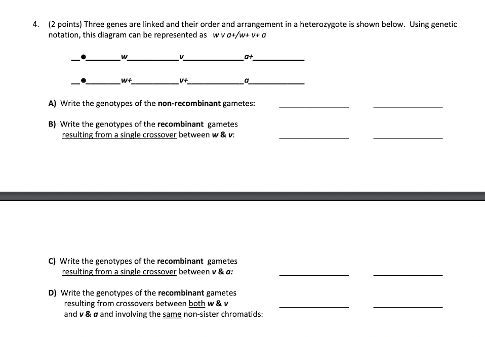 (2 points) Three genes are linked and their order and | Chegg.com