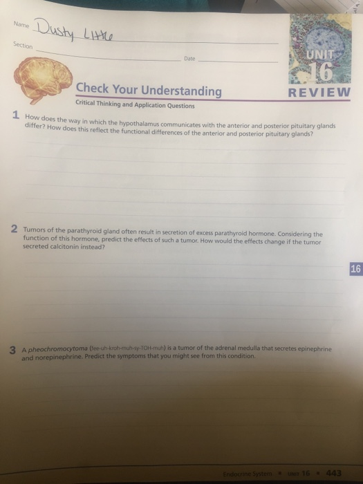 Solved Name Section UNIT Date 6. Check Your Understanding | Chegg.com Solved Name Section UNIT Date 6. Check Your Understanding | Chegg.com