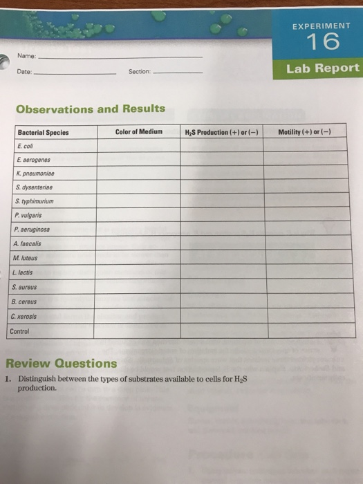 Solved EXPERIMENT 16 Name: Date Lab Report Section: | Chegg.com
