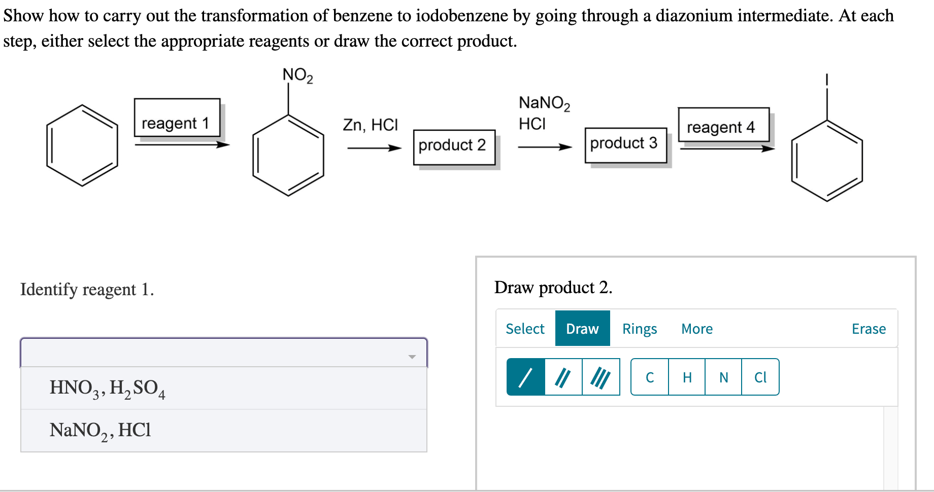 Solved Show how to carry out the transformation of benzene | Chegg.com