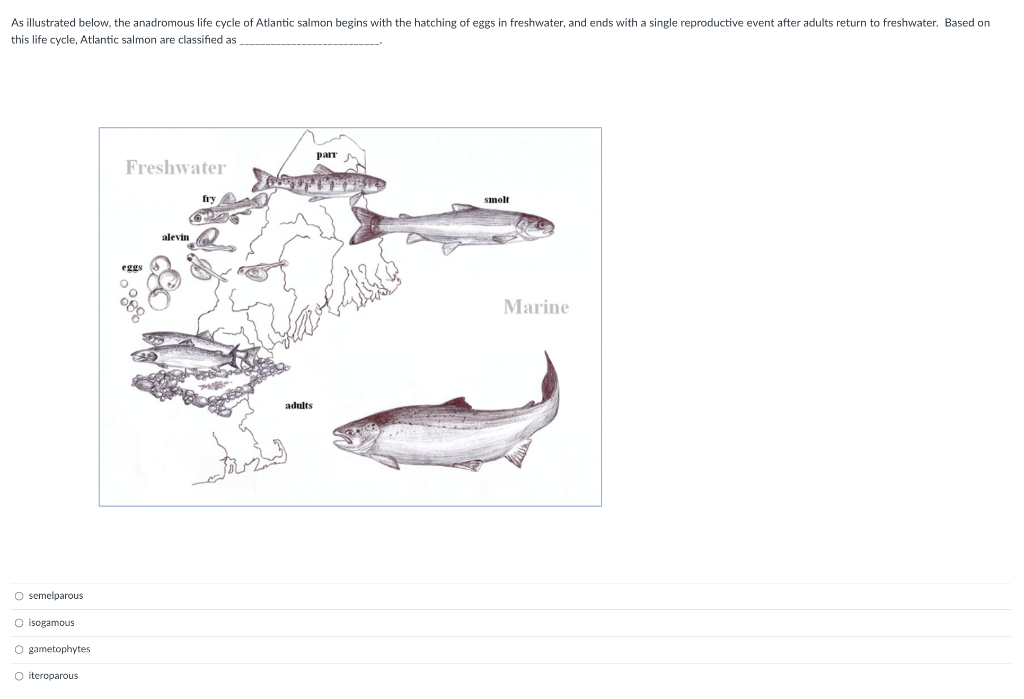 Solved As illustrated below, the anadromous life cycle of | Chegg.com