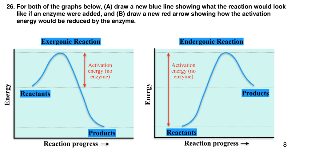 Solved 26 For Both Of The Graphs Below A Draw A New Blue
