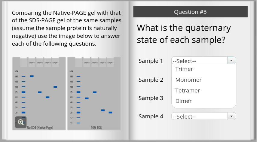Solved Question #3 Comparing the Native-PAGE gel with that | Chegg.com