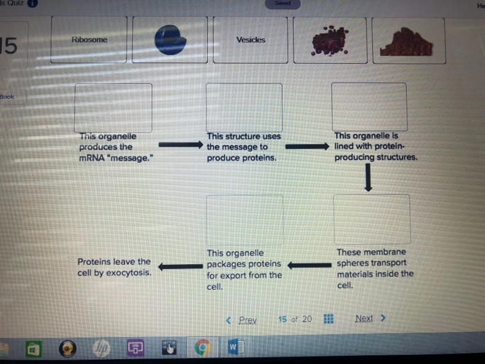 Solved Complete the table by dragging each structure name or | Chegg.com