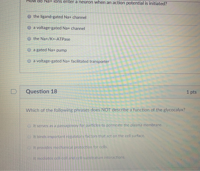 Solved a neuron when an action potential is initiated? HoW | Chegg.com