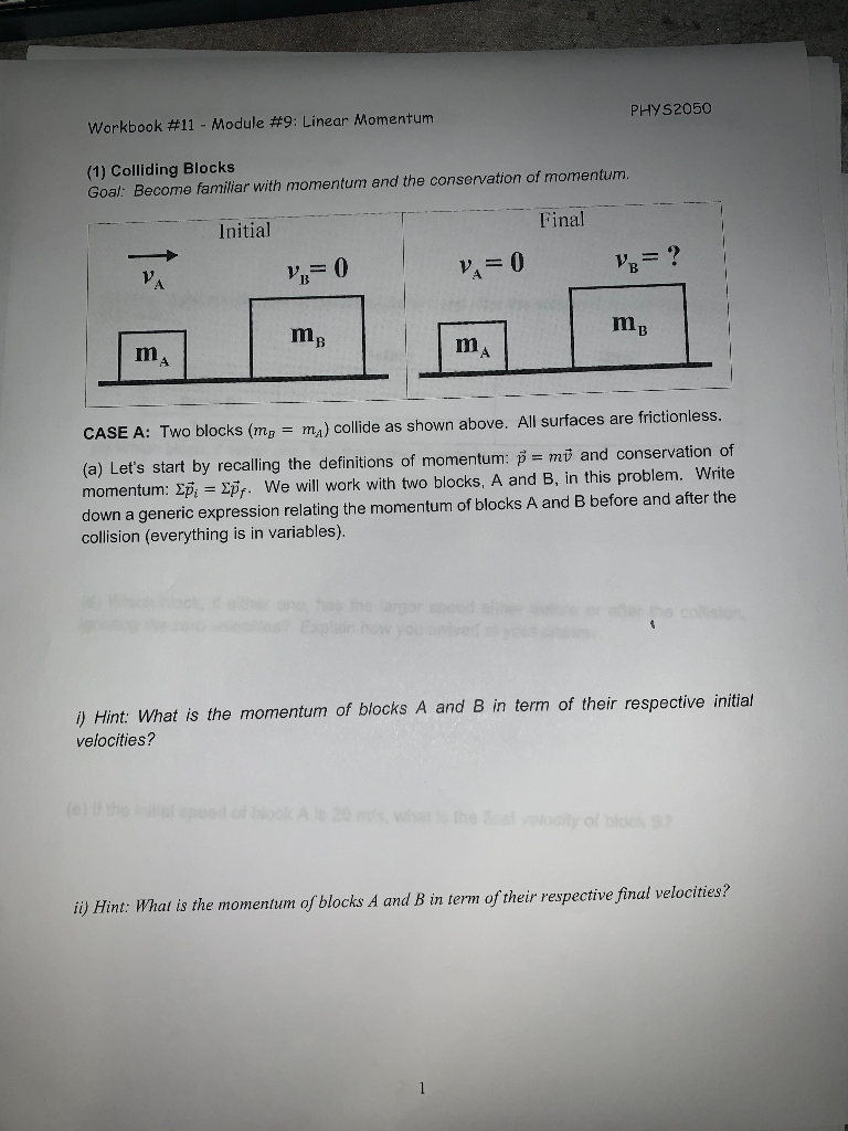 Solved PHYS2050 Workbook #11 - Module #9: Linear Momentum | Chegg.com